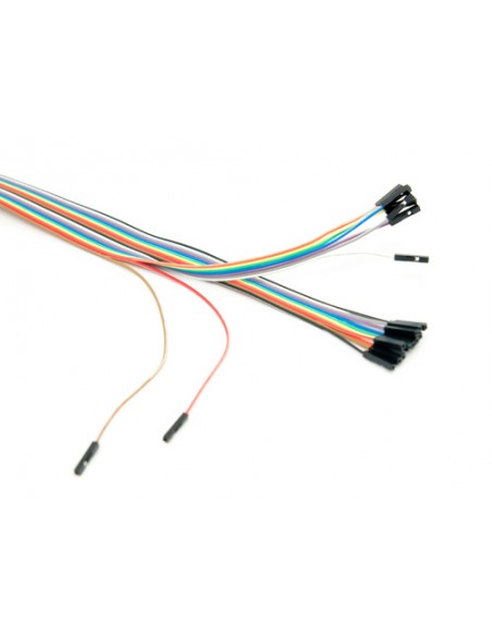 Dual male splittable jumper wires (100mm, 40 pins) (cable)