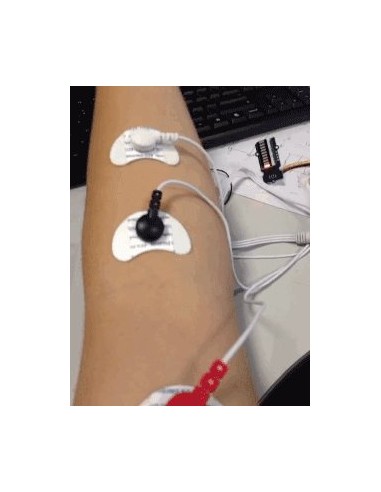 Grove - EMG Detector